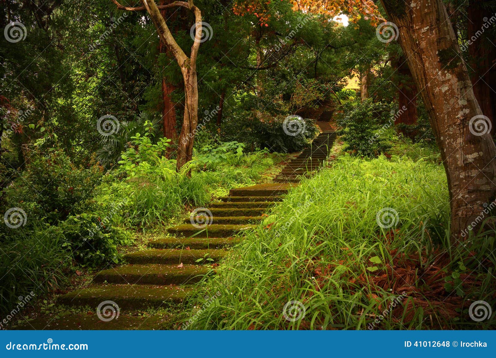 Stone staircase stock photo. Image of stairs, stair, trail - 41012648