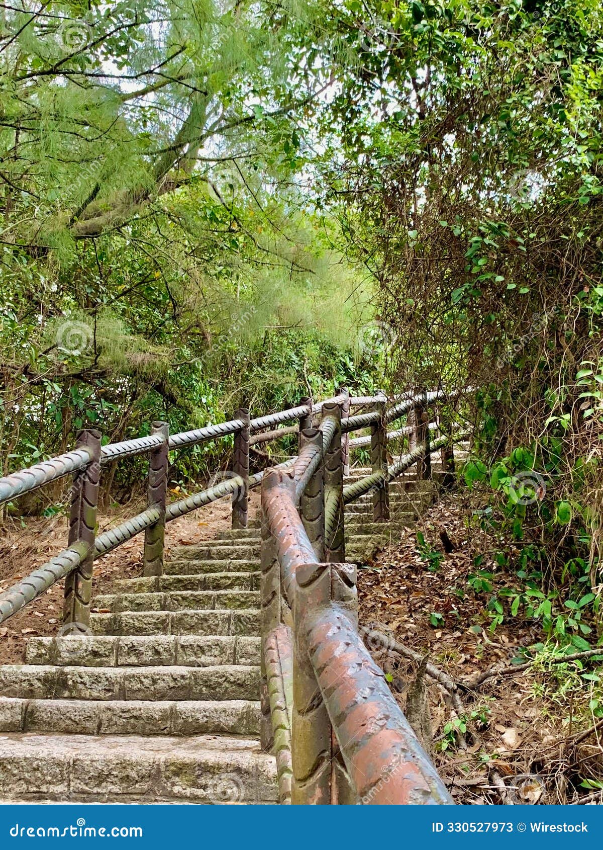 A Stone Staircase with Rustic Railings Leading through Dense Green ...