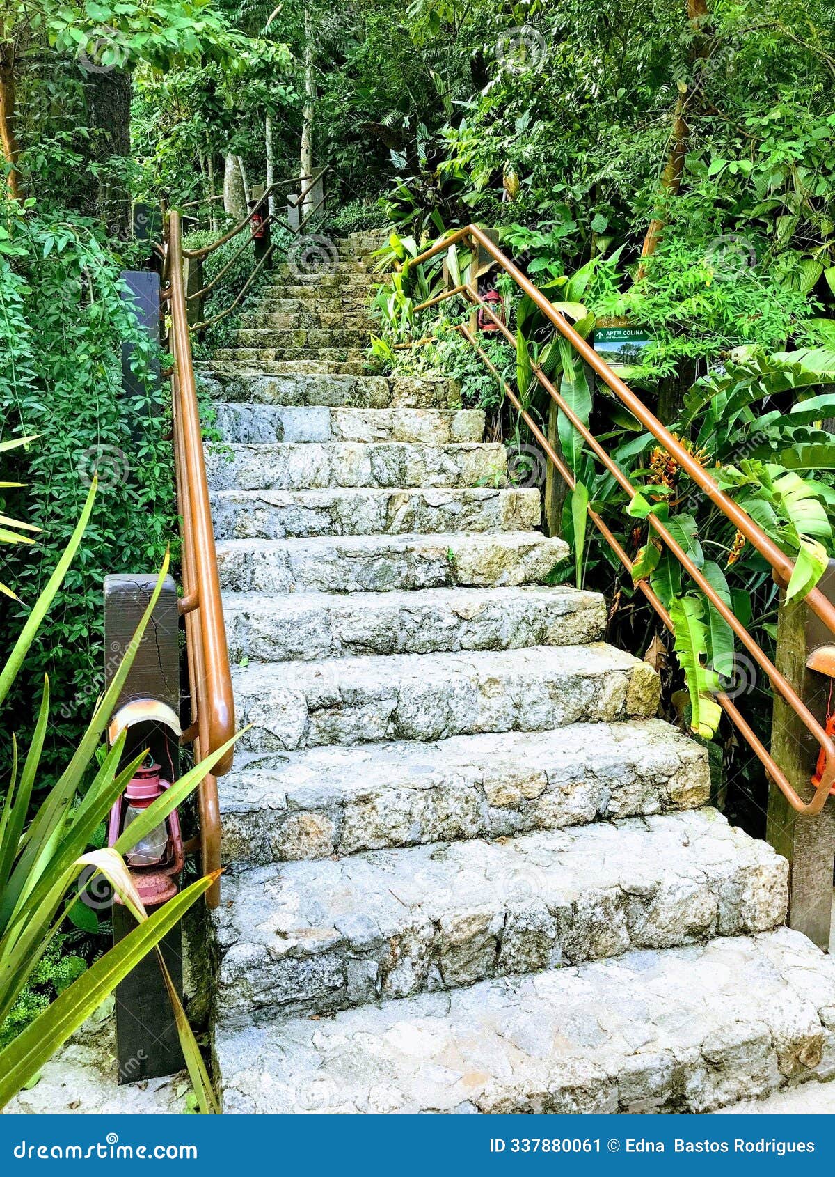 Stone Staircase on the Trail Stock Image - Image of handrail, escada ...