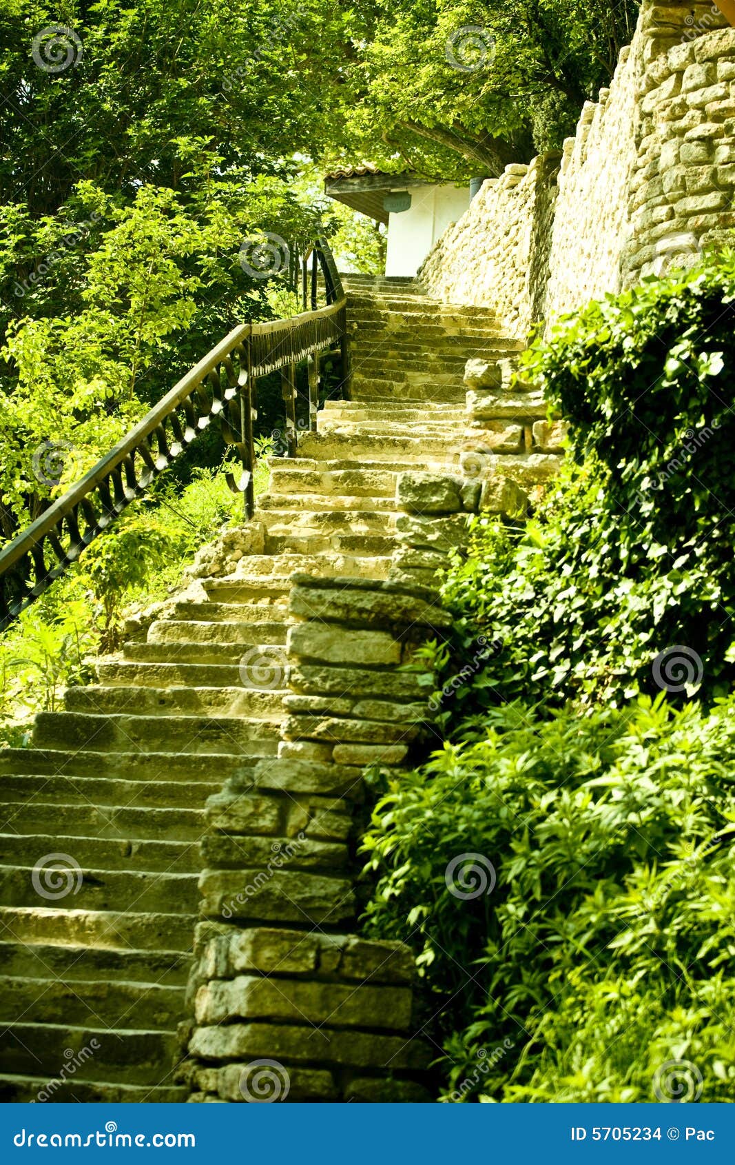 Stone Stairs in Countryside Stock Photo - Image of curved, plants: 5705234