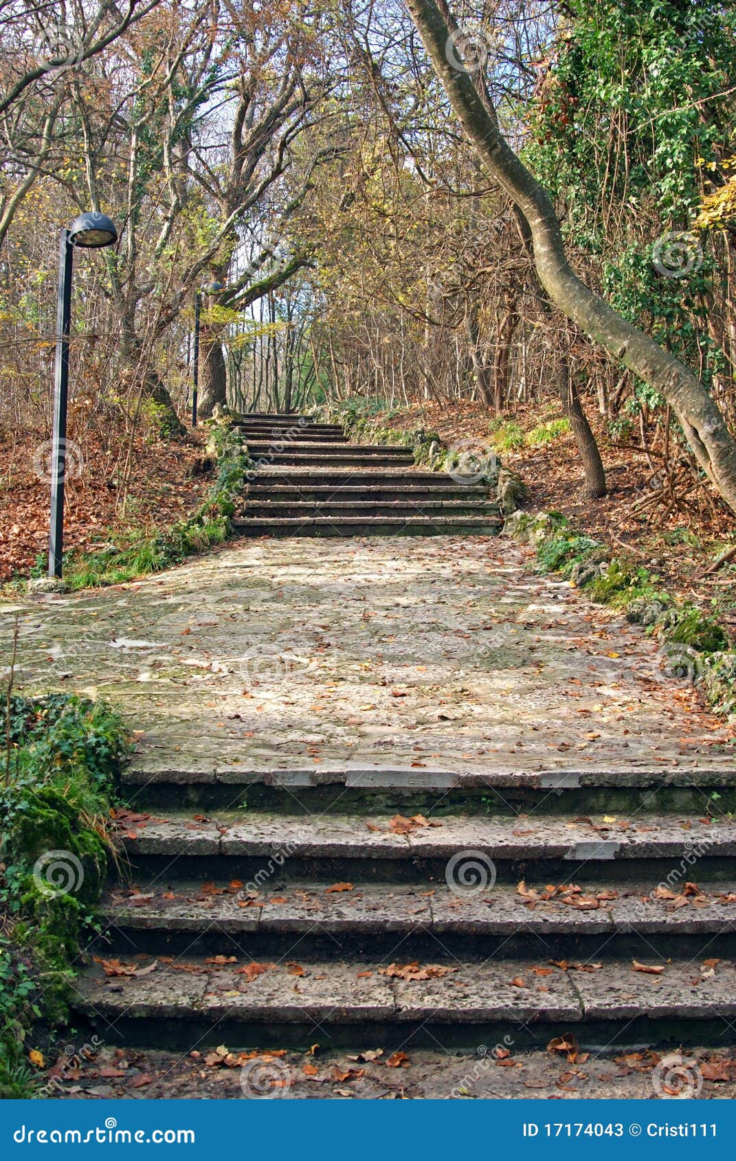 Stone stairs in the forest stock image. Image of hill - 17174043