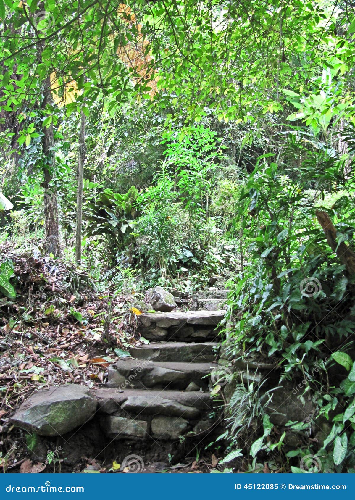 Stone stairs stock image. Image of destination, stairs - 45122085