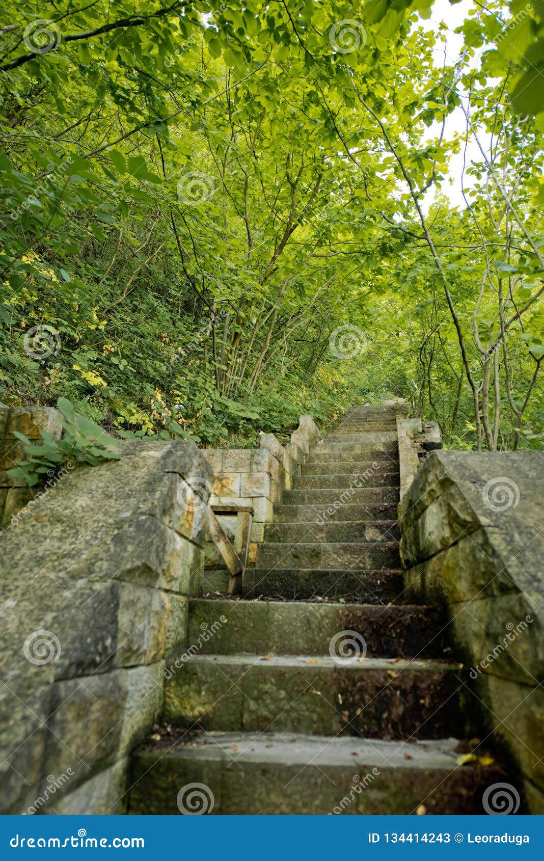 Stone Stairs in the Forest. Stock Image - Image of wood, path: 134414243
