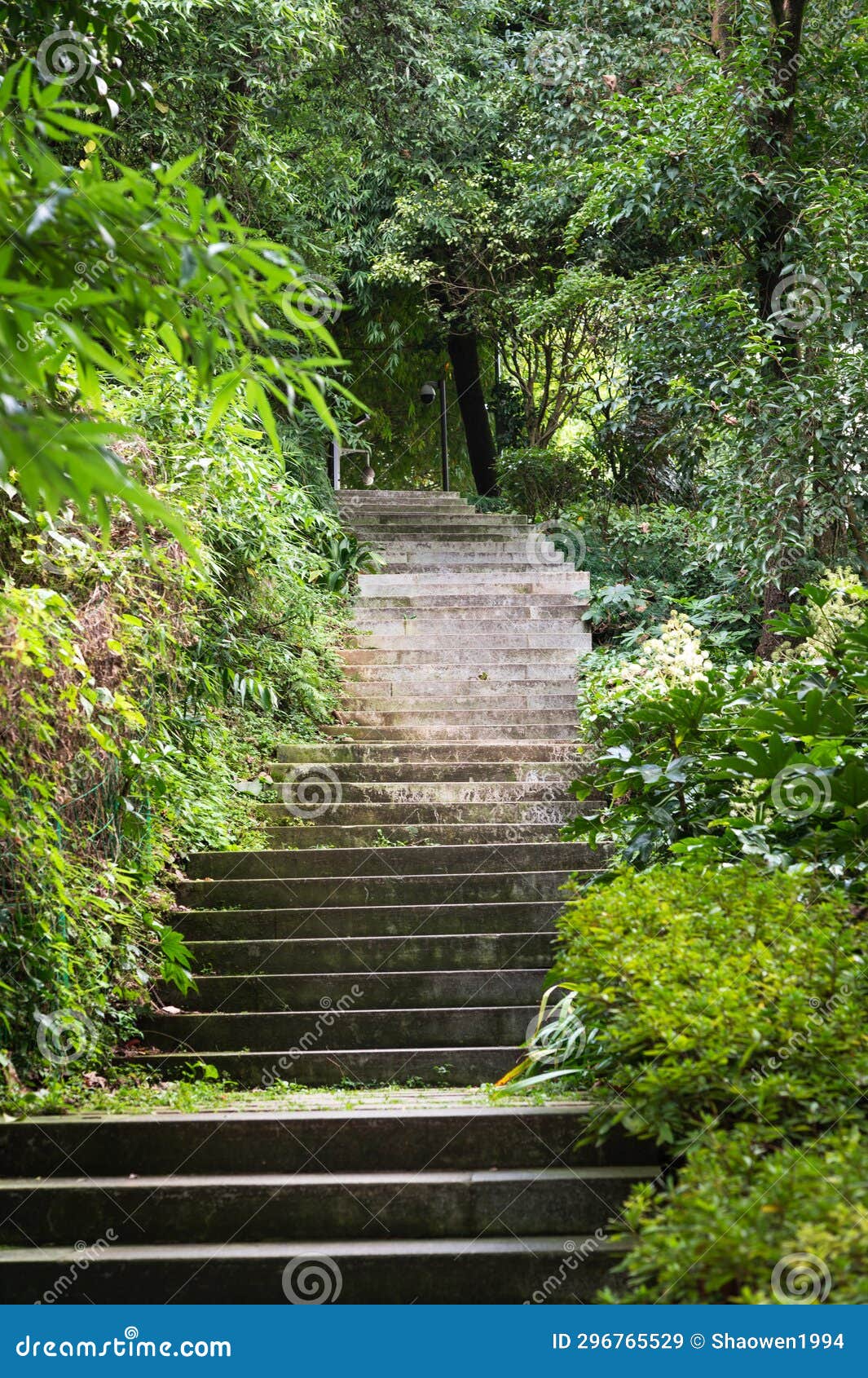 Stone stairs in forest stock image. Image of stairway - 296765529