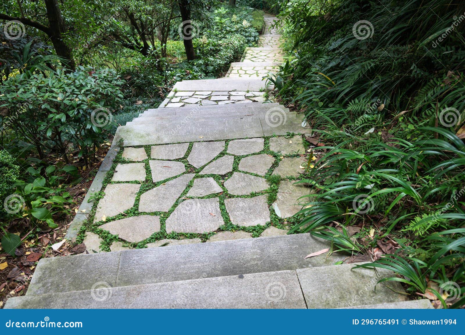 Stone stairs in forest stock image. Image of background - 296765491