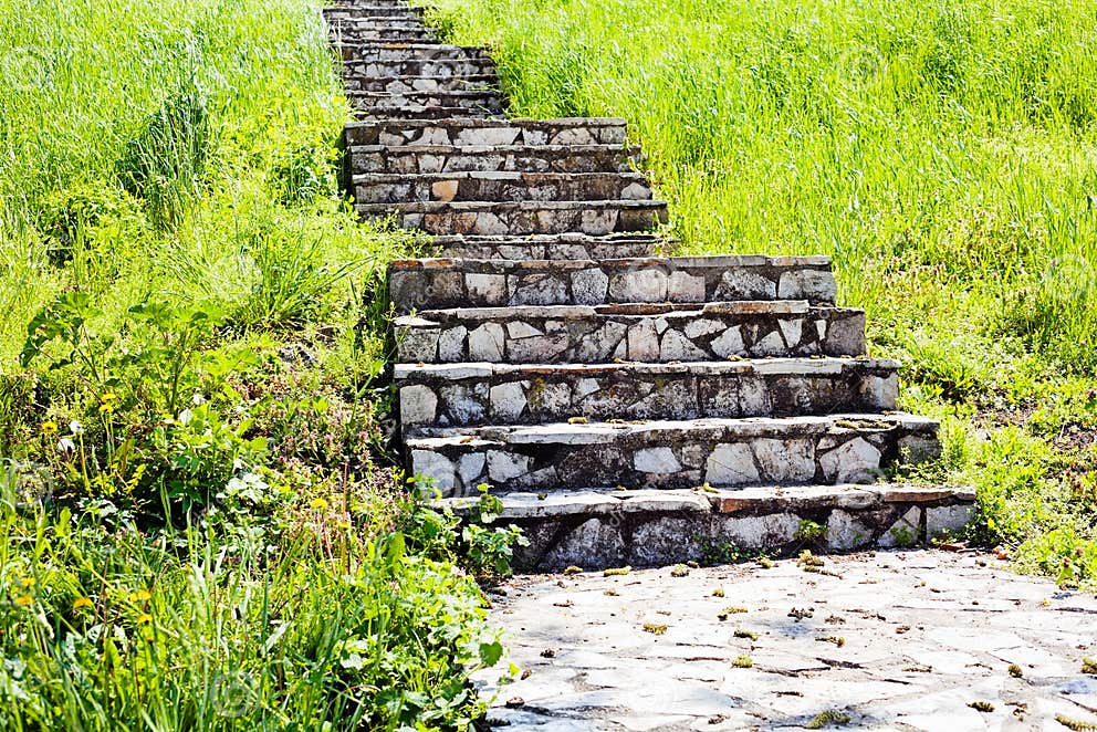 Stone stairs in grass stock photo. Image of move, path - 72835344