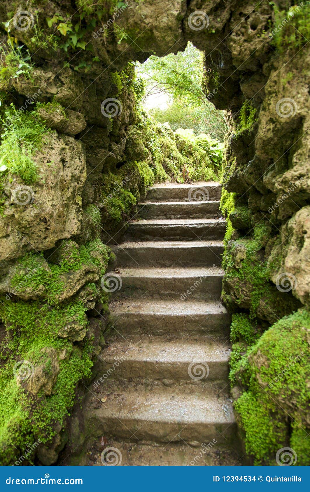 Stone stairs at nature stock photo. Image of dublin, ancient - 12394534