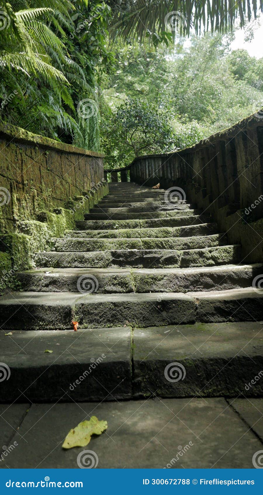 Stone Stairs, Pathways stock photo. Image of guide, staircase - 300672788