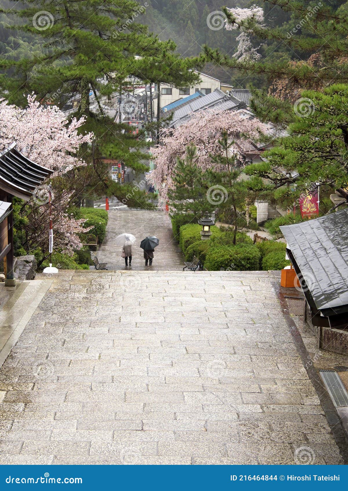 Stone Stairs in the Rain in Nara, Japan Stock Photo - Image of footstep ...