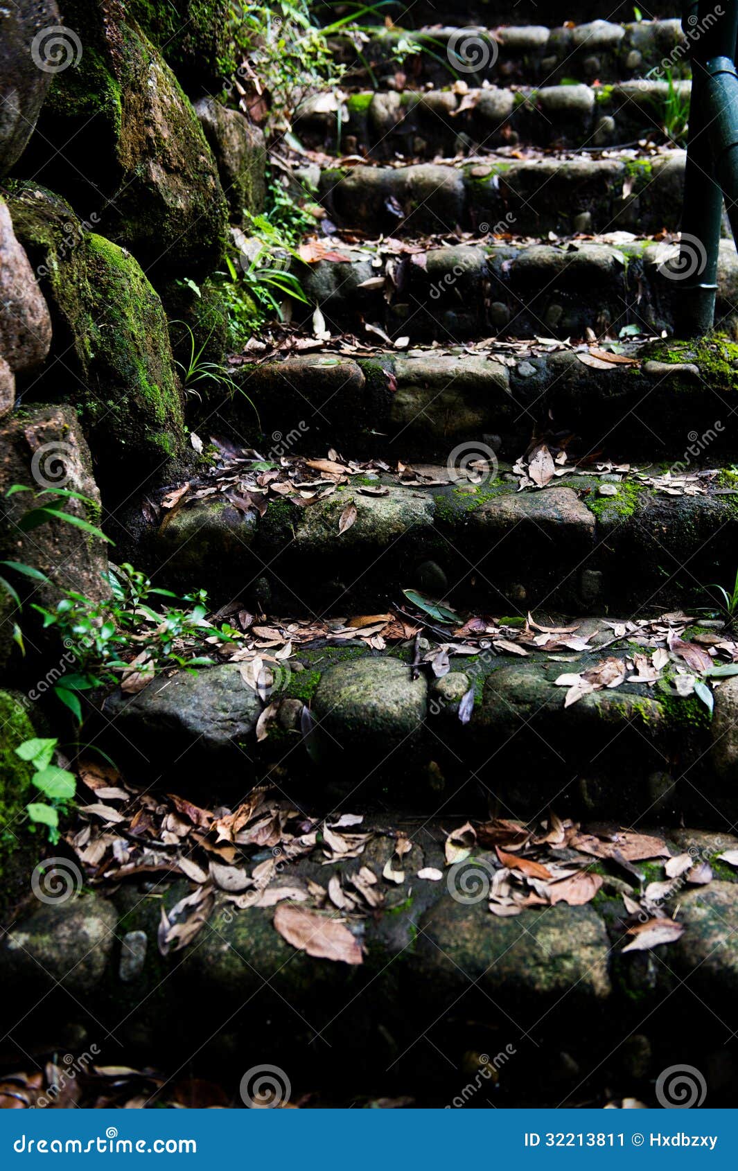 Stone stairs stock image. Image of field, leaves, peace - 32213811