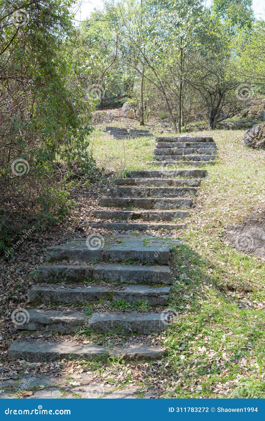 Stone stairs in spring stock photo. Image of leaves - 311783272