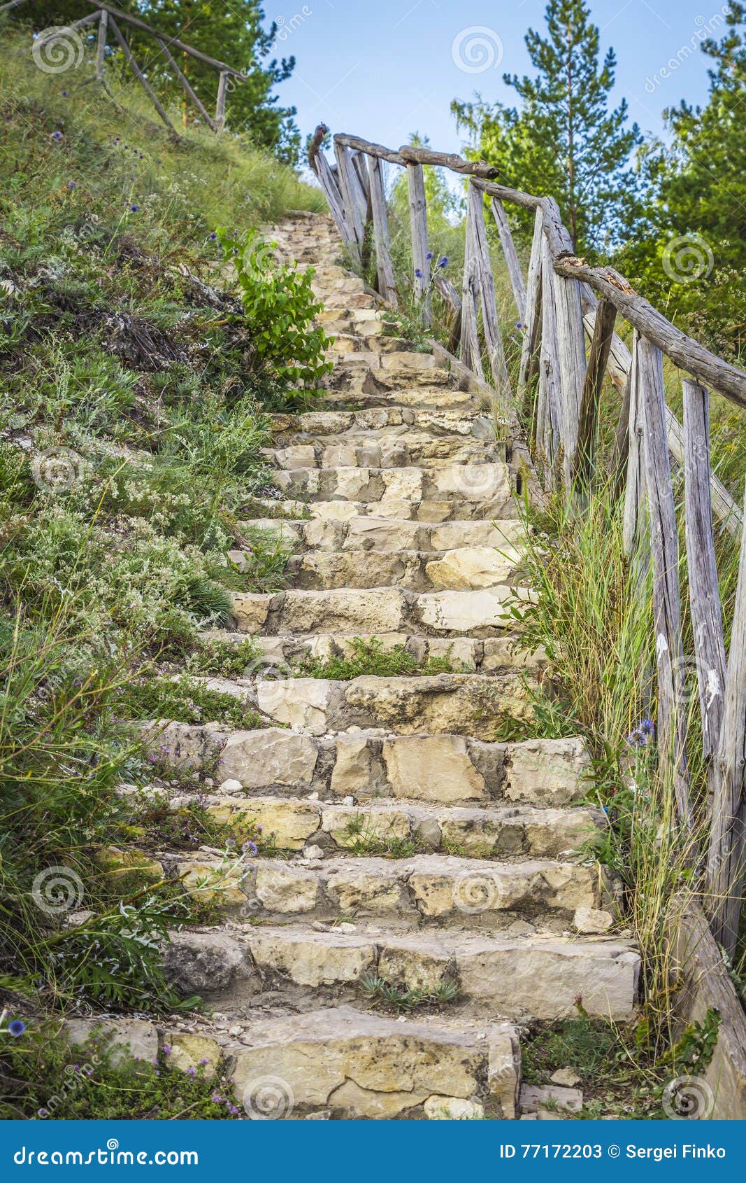 Stone stairs to the river. stock image. Image of green - 77172203