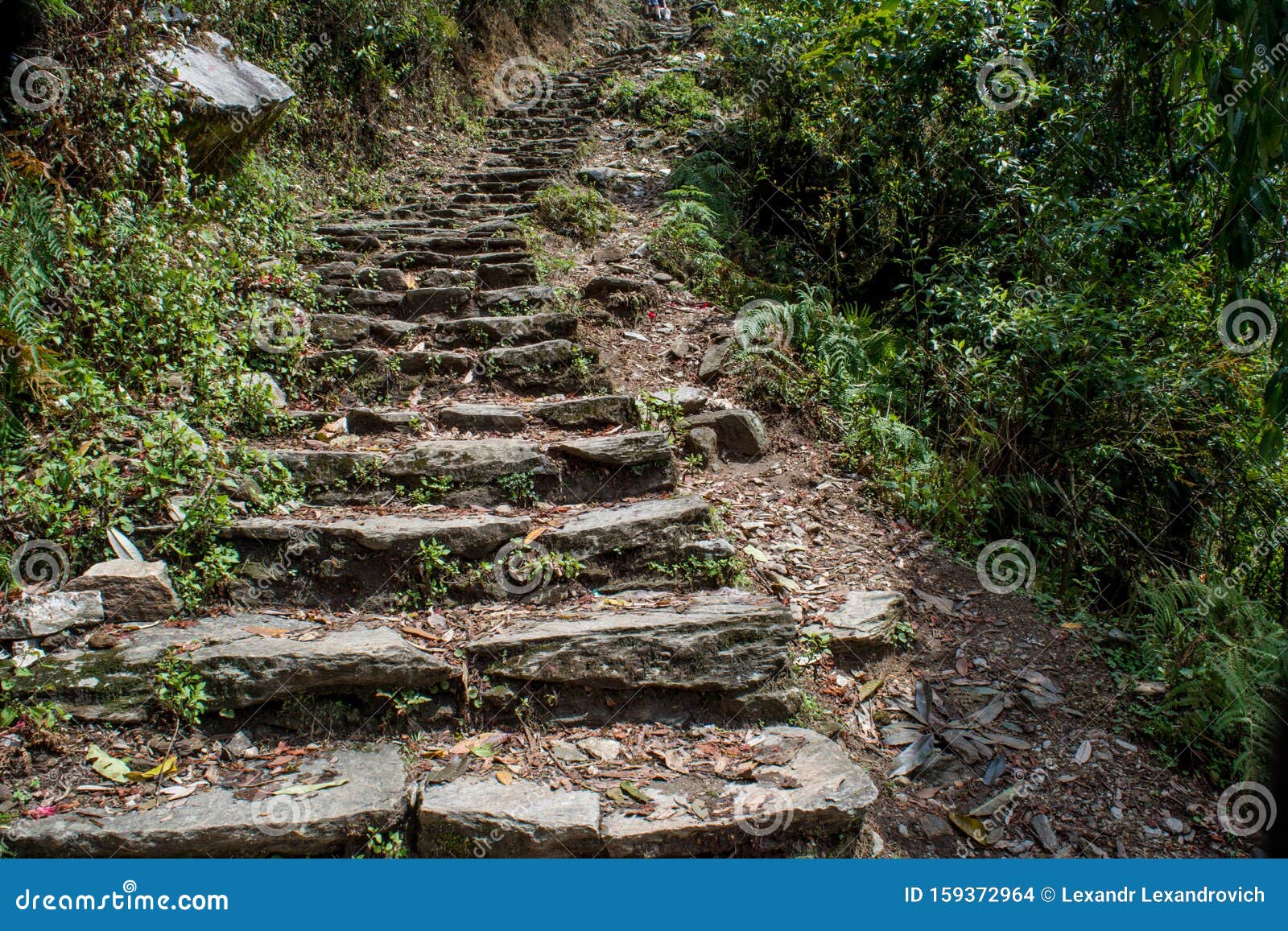 Stone Stairs Trail in the Mountains at Himalayas Stock Photo - Image of ...