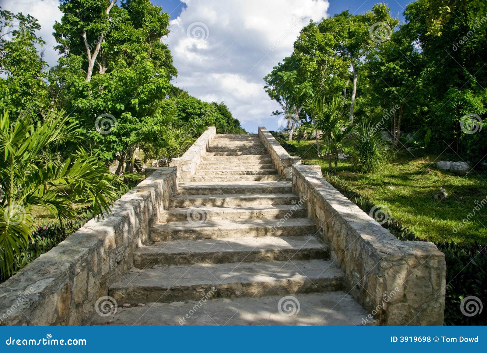 Stone Stairway at Mayan Ruins Stock Photo - Image of carved, gray: 3919698
