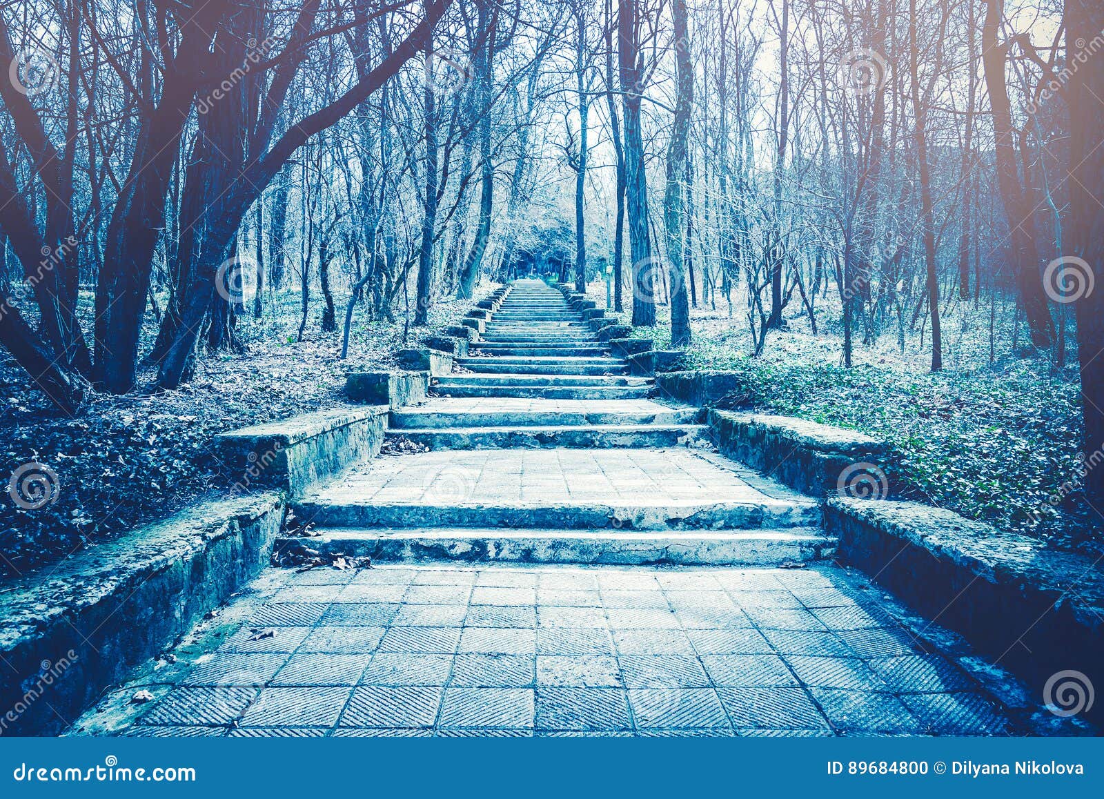 Stone Stairway Stepping Up in a Mystery Forest. Ghostly Effect. Stock ...