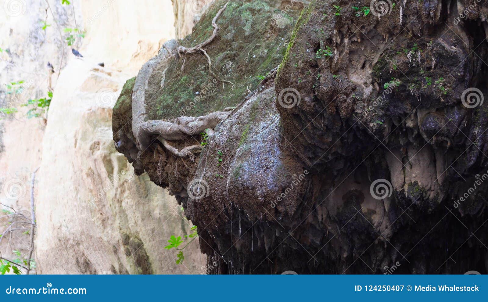 Statue In Overgrown Cemetery In Germany, Grave Royalty-Free Stock Image ...