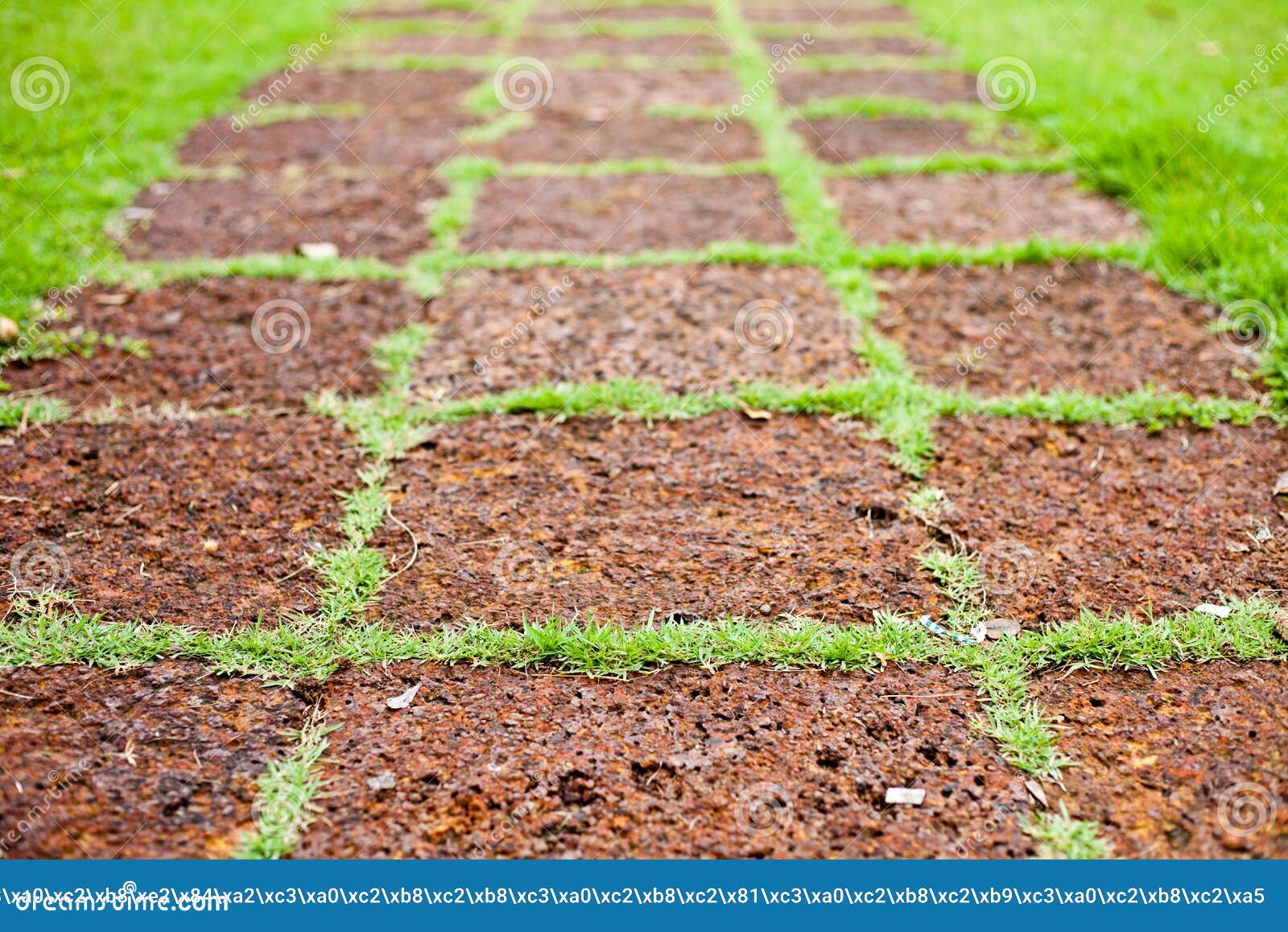 Stone step on grass stock photo. Image of background - 29636272
