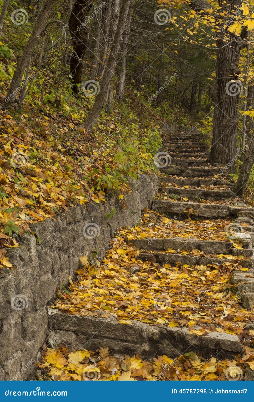 Stone Step Trail in Autumn stock photo. Image of walkway - 45787298