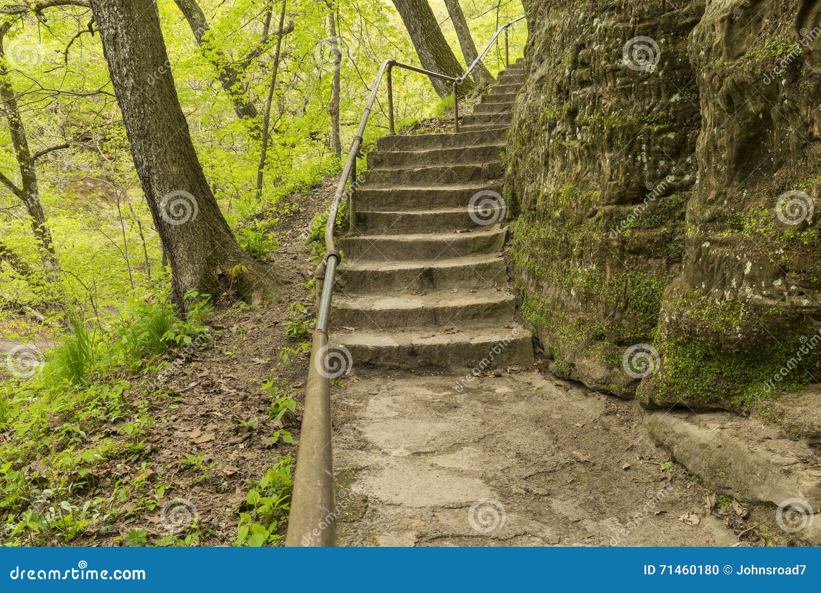 Stone Step Trail stock photo. Image of stairs, landscape - 71460180