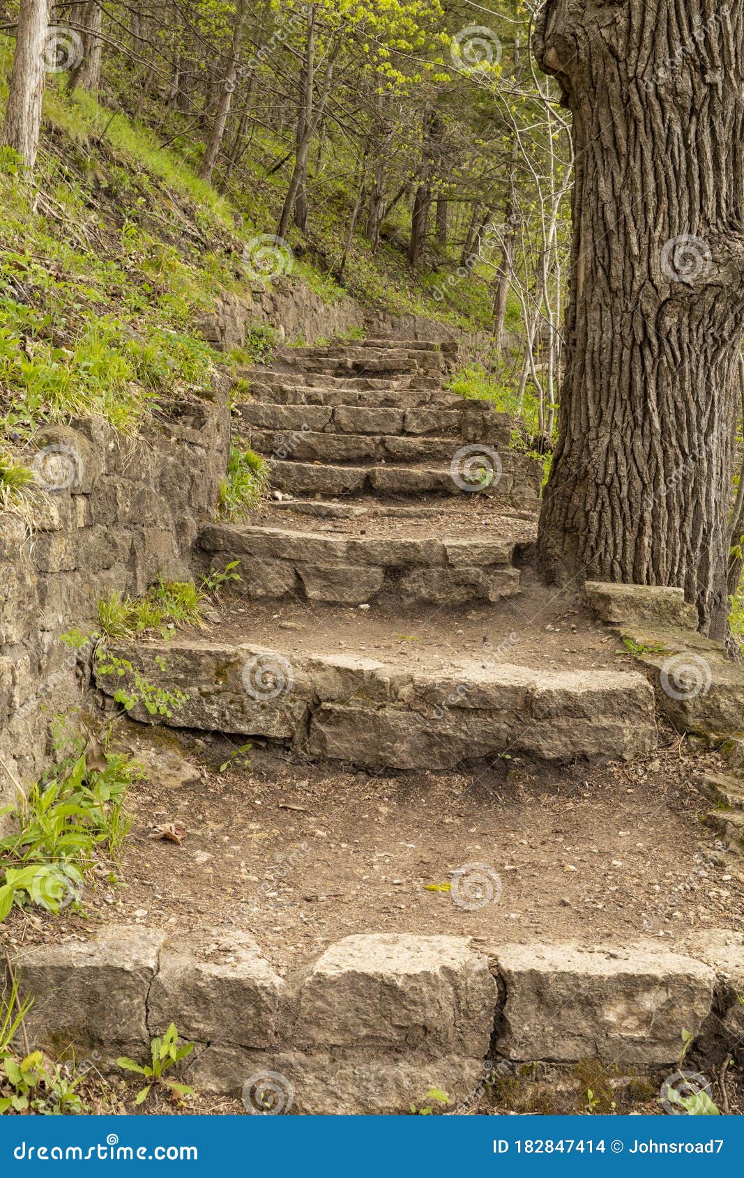 Stone Step Trail in Spring stock photo. Image of landscape - 182847414