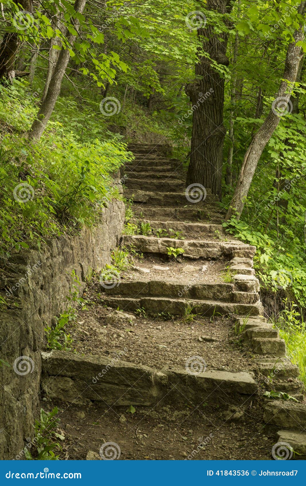 Stone Step Trail stock photo. Image of path, staircase - 41843536
