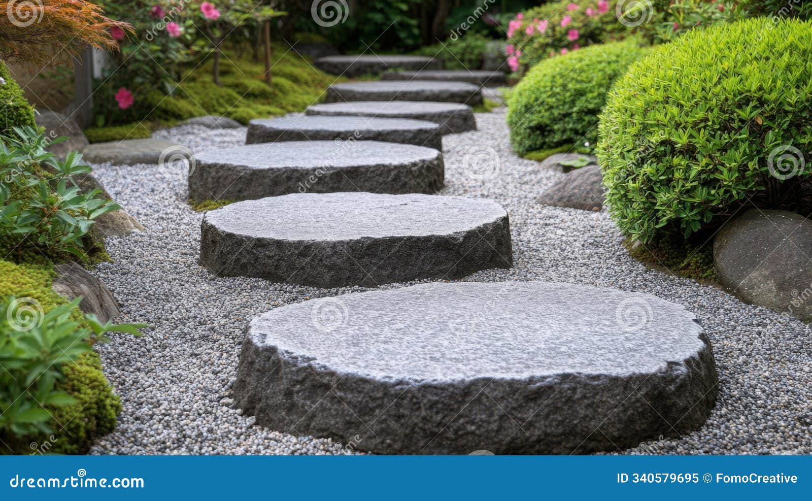 Stone Stepping Stones Path through a Japanese Garden Stock Illustration ...