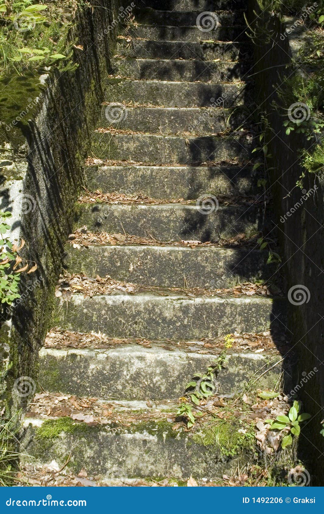 Stone steps stock photo. Image of concrete, park, staircase - 1492206