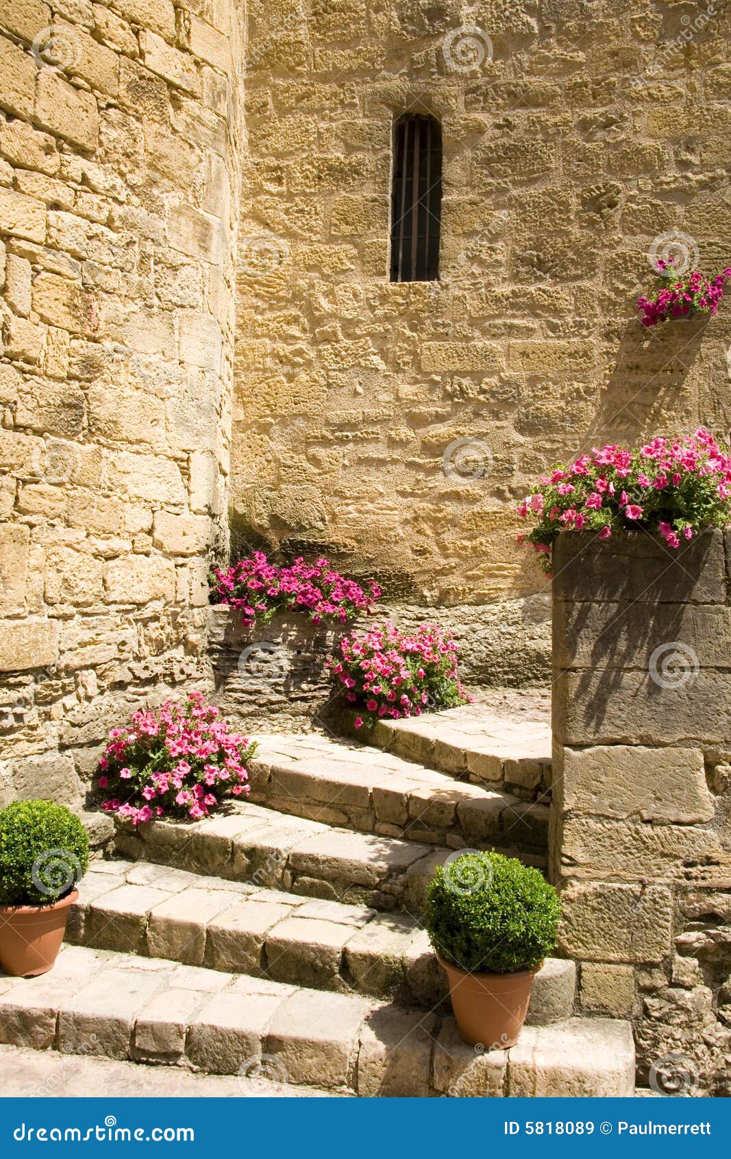 Stone steps stock image. Image of flowers, curved, purple - 5818089