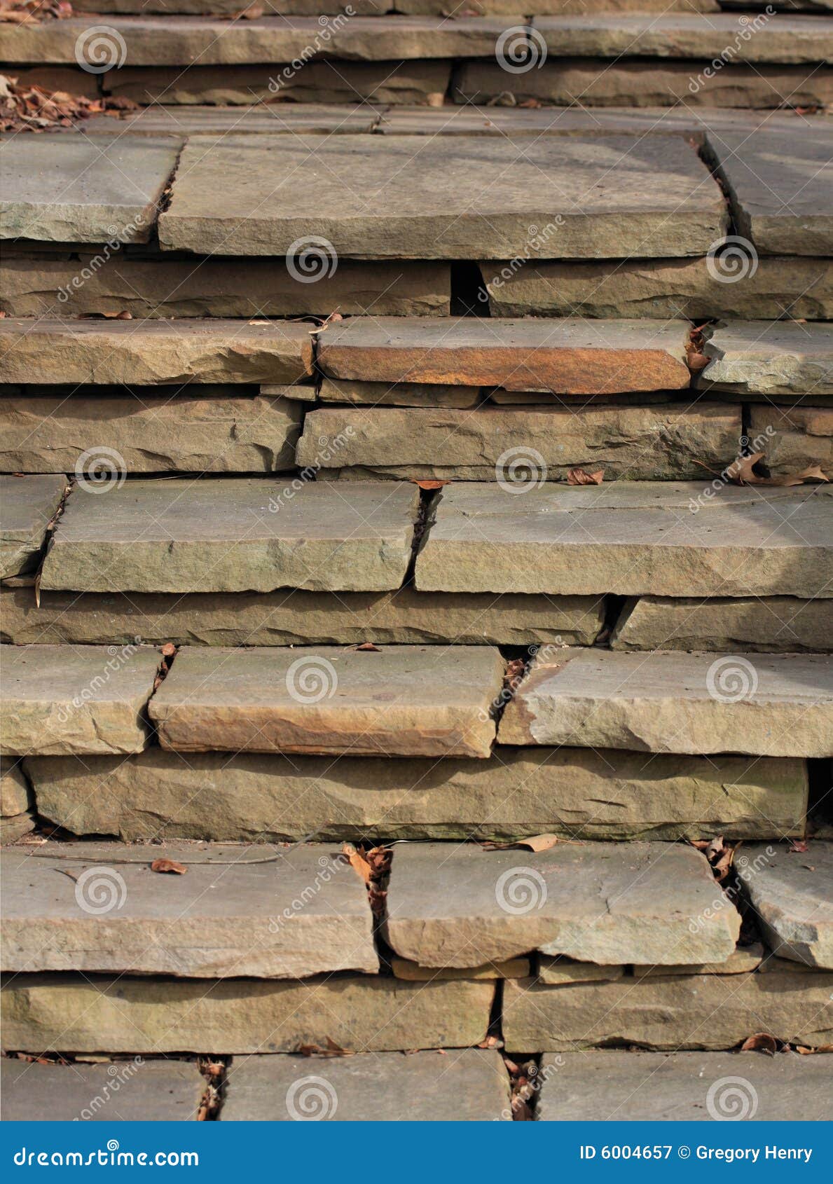 Stone Steps stock image. Image of flat, garden, stone - 6004657