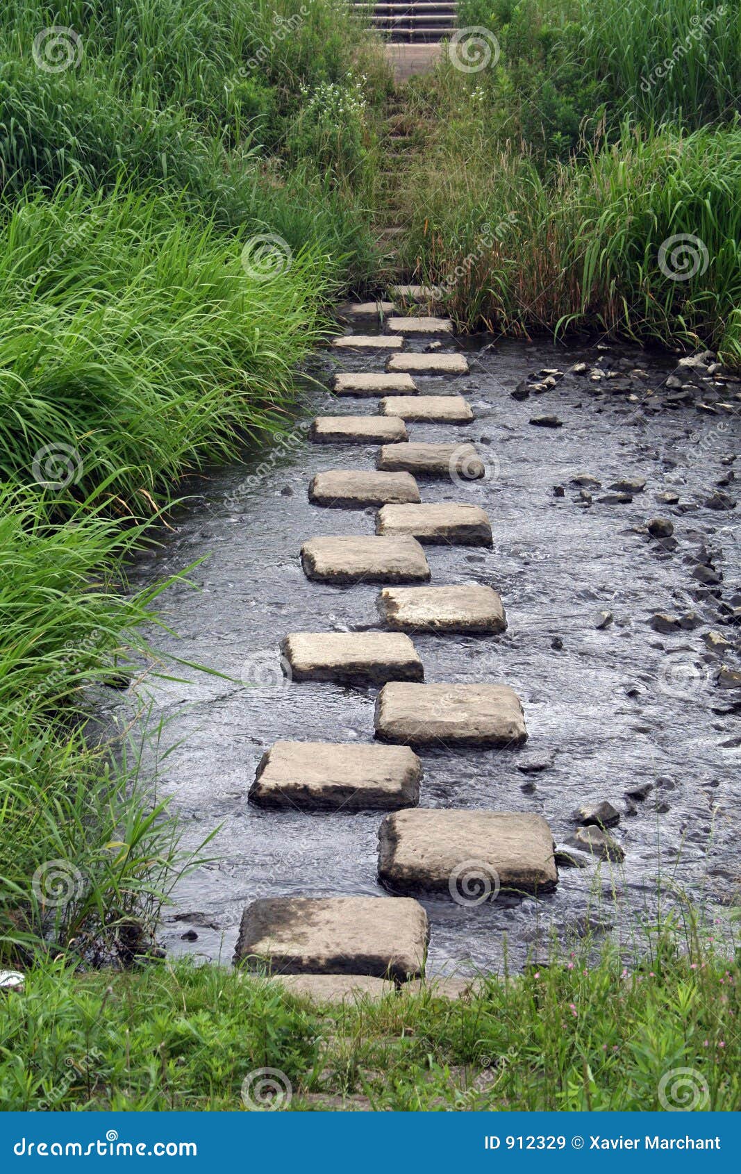 Stone steps stock image. Image of plant, turbulence, crossing - 912329