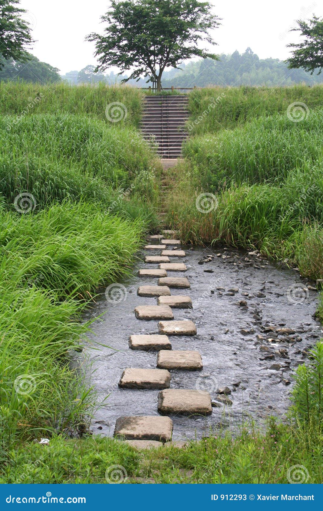 Stone steps across a river stock image. Image of relaxing - 912293