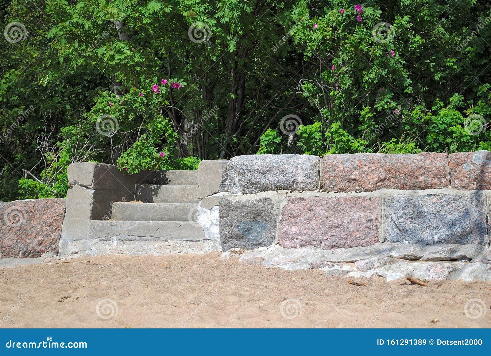 Stone steps stock image. Image of shrub, footstep, outdoor - 161291389