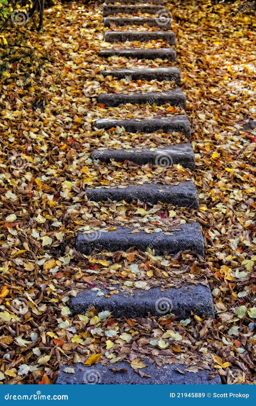 Stone Steps in Autumn stock image. Image of steps, leaves - 21945889