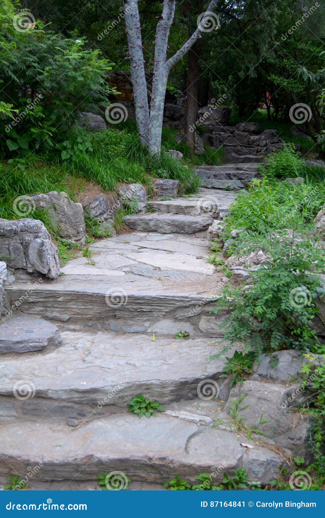 Stone Steps in Beijing, China Stock Image - Image of park, historical ...