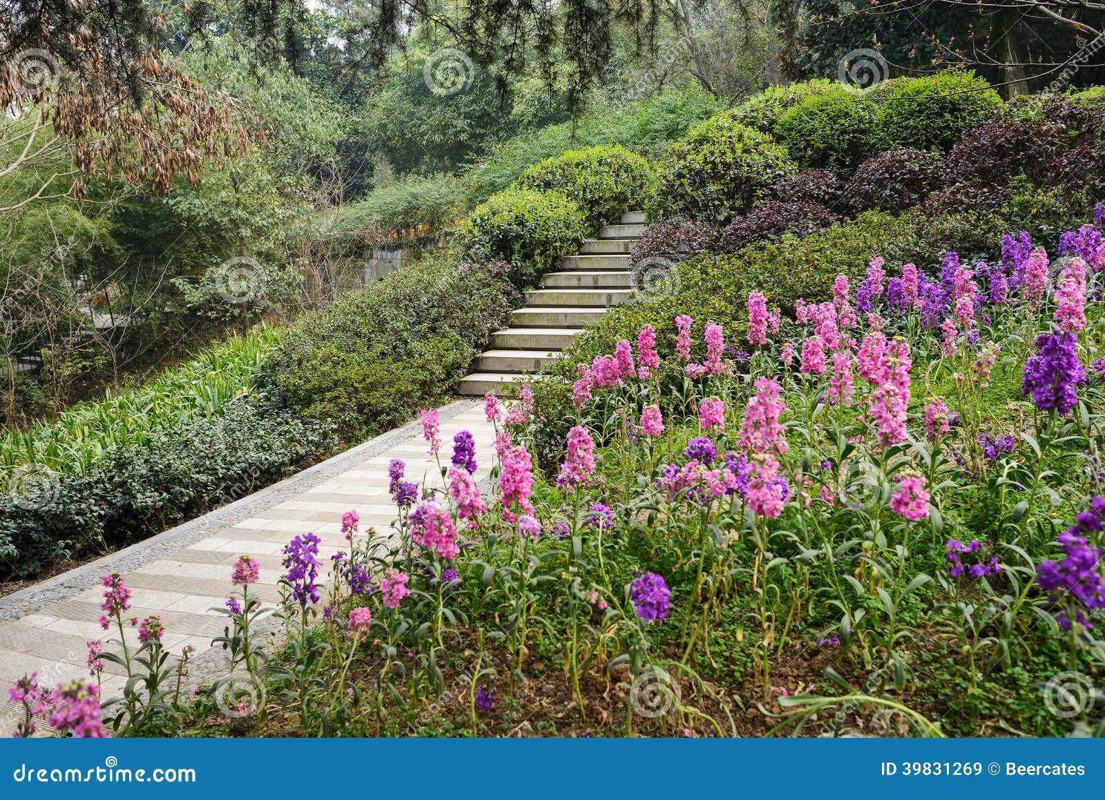 Stone Steps on Blossoming Hillside Stock Image - Image of plant, woods ...