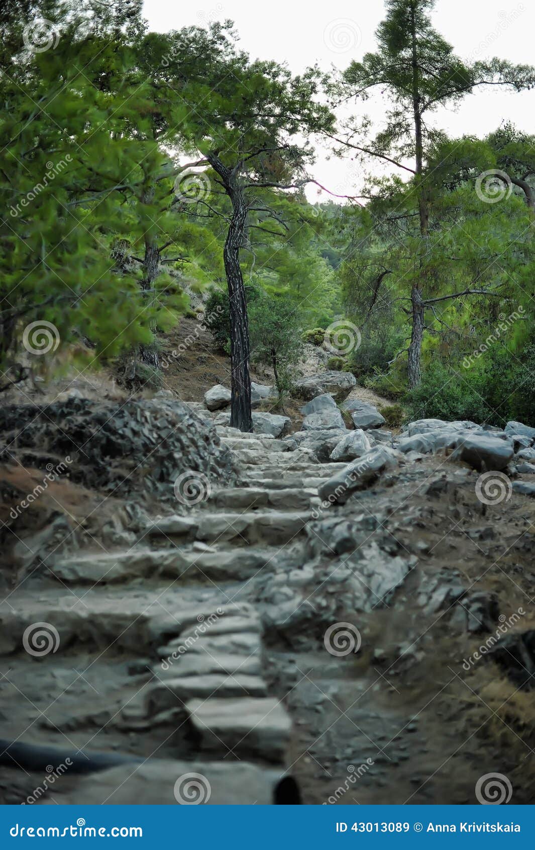 Stone Steps Carved into the Rock Stock Image - Image of leading, bench ...
