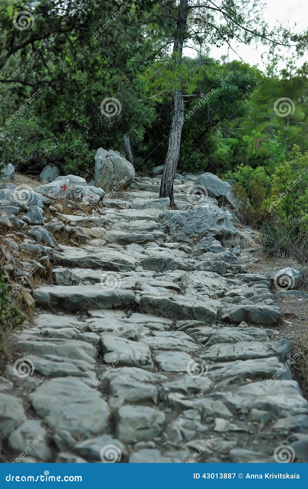 Stone Steps Carved into the Rock Stock Image - Image of mountain, bench ...