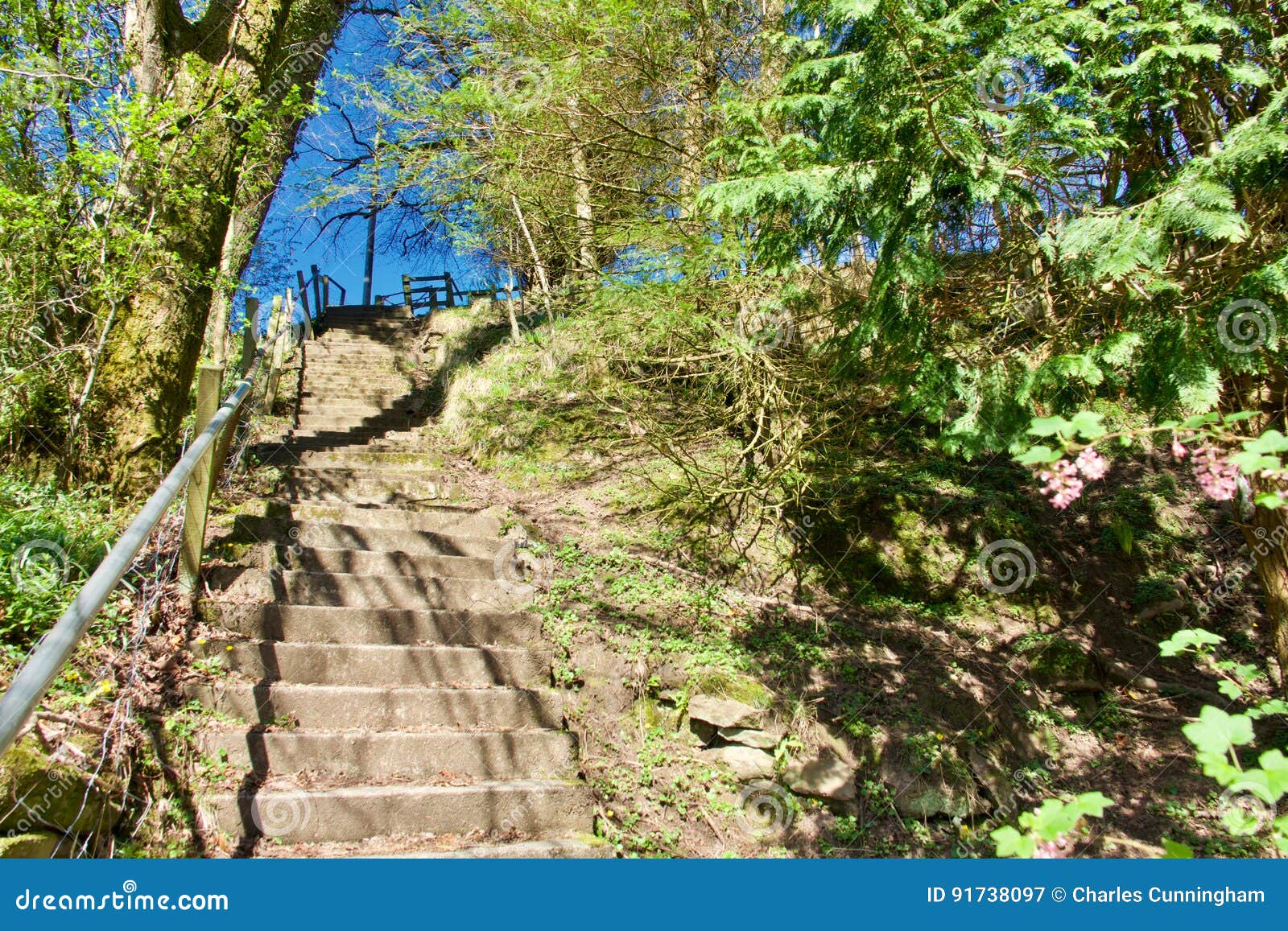 Stone Steps in the Countryside. Stock Image - Image of leaves ...