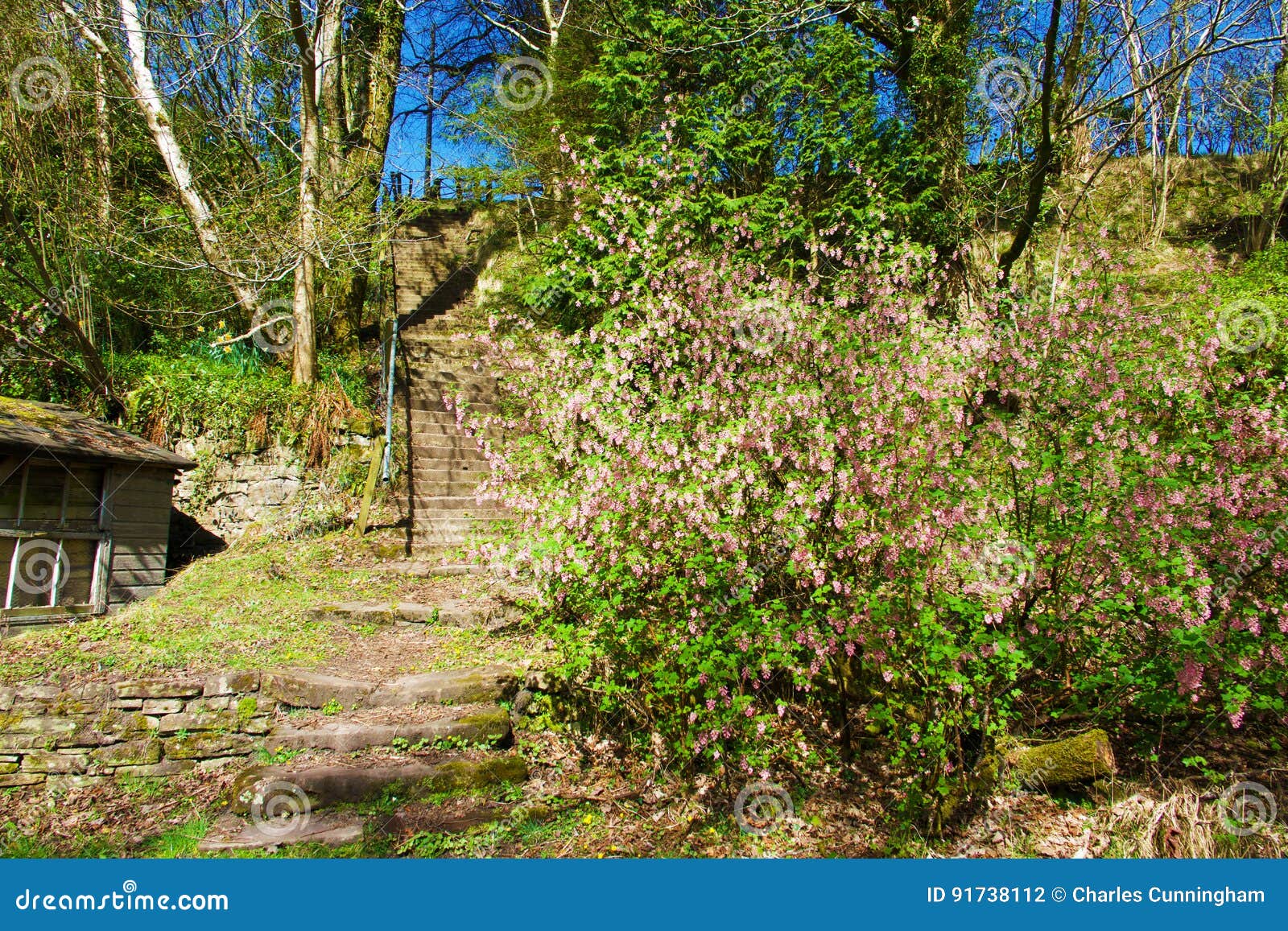 Stone Steps in the Countryside. Stock Photo - Image of steps ...