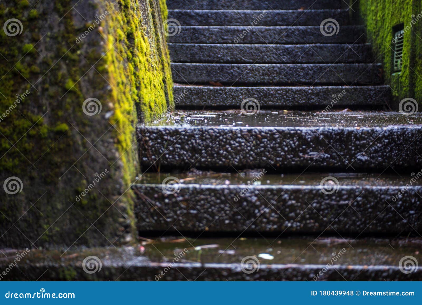 Stone Steps Covered in Moss after Rain Stock Photo - Image of ...