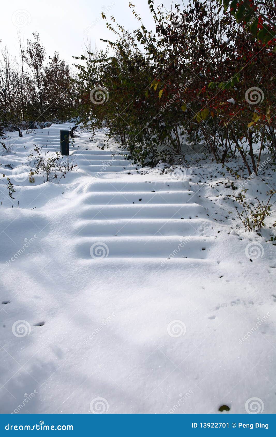 Stone Steps Covered with Snow Stock Image - Image of snow, steps: 13922701