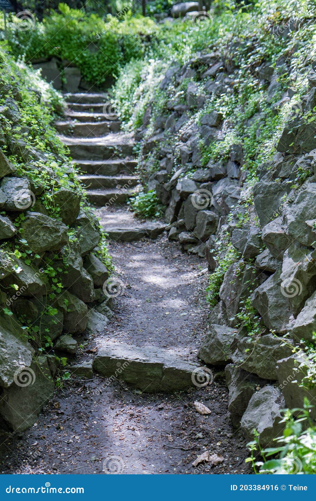 Stone steps and footpath stock photo. Image of rural - 203384916