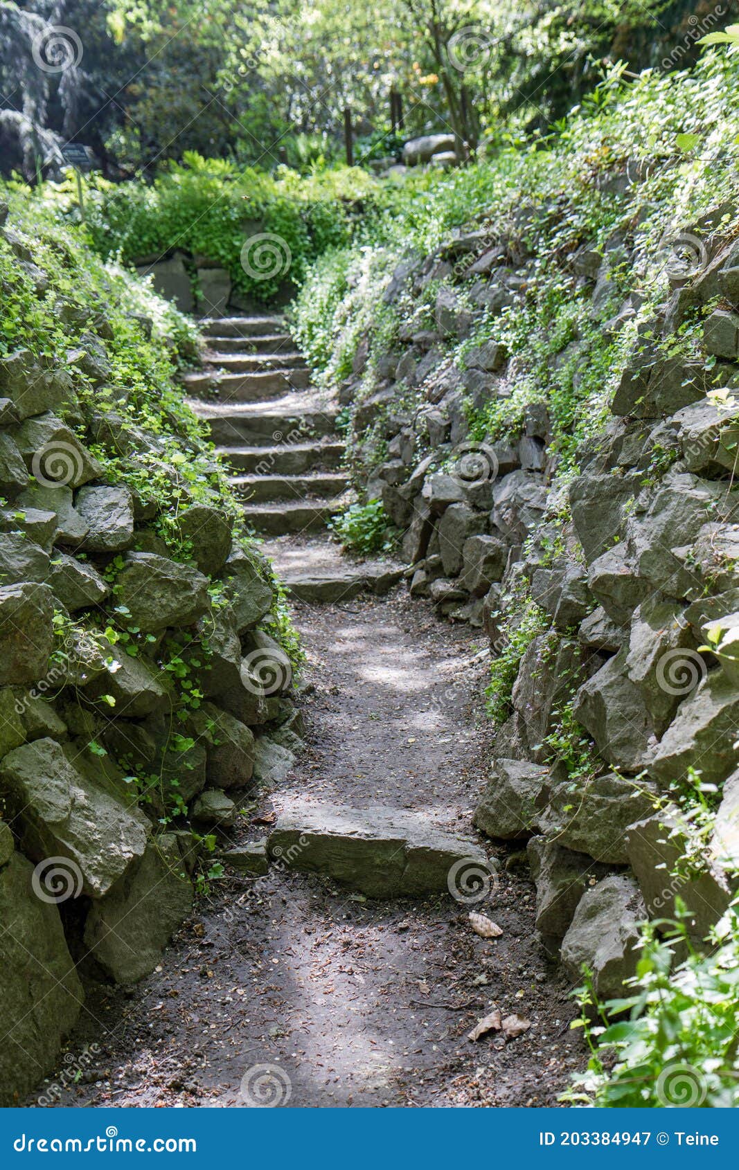 Stone steps and footpath stock image. Image of flora - 203384947