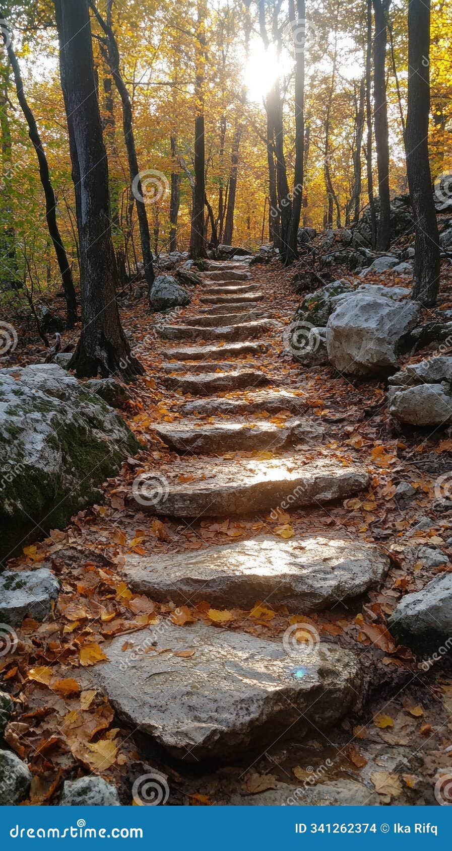 Stone Steps in a Forest with Golden Leaves Photo Stock Illustration ...