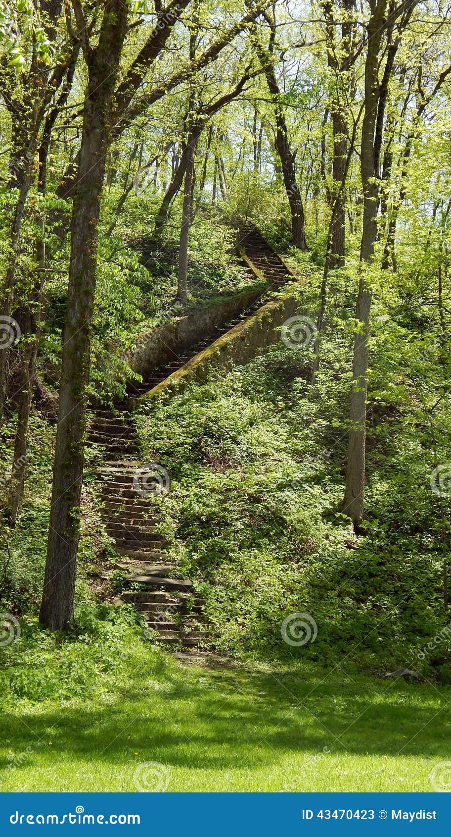 Stone Steps stock image. Image of seasonal, grass, foliage - 43470423