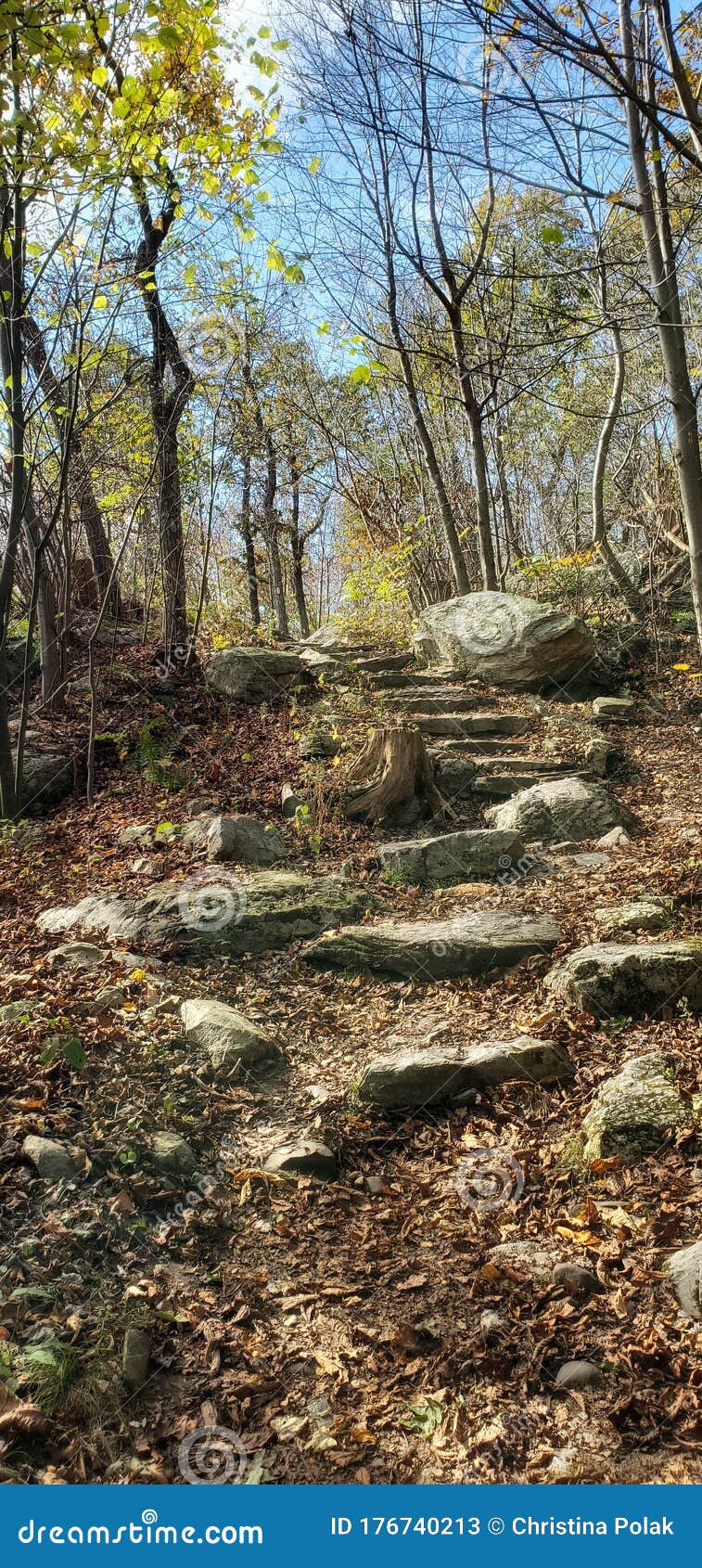 Stone Steps Going Up Mountain in Woods Stock Image - Image of mountain ...