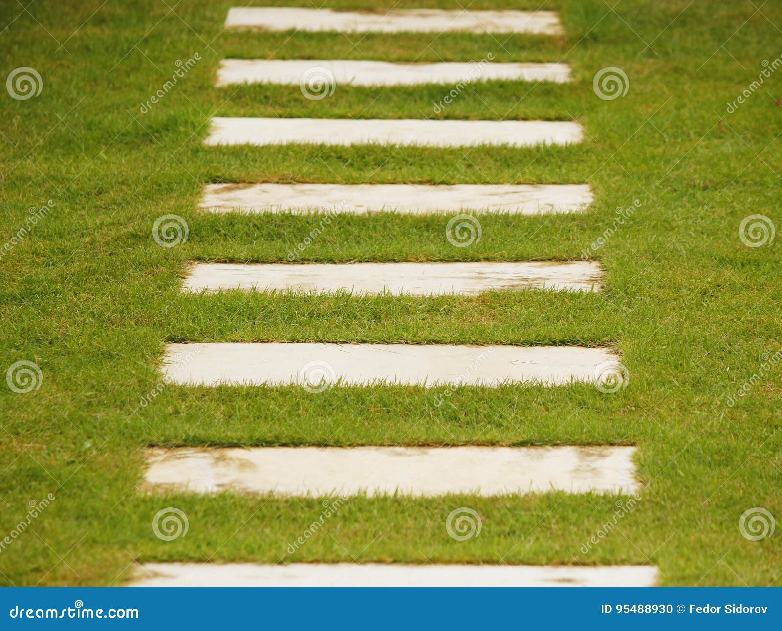 Stone steps on green grass stock photo. Image of line - 95488930