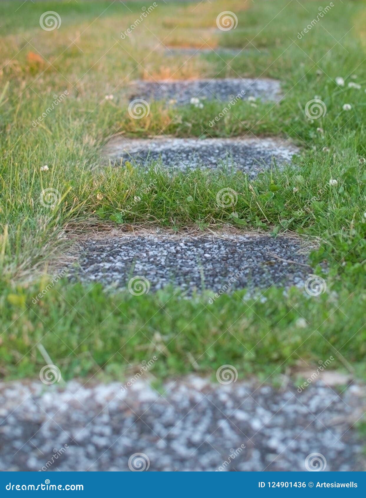 Stone Steps through Green Grass Stock Photo - Image of conceptual ...