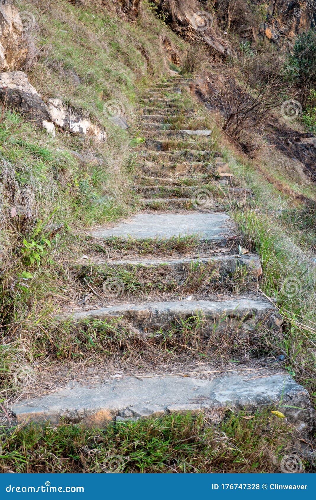 Steps on the Hillside stock photo. Image of steps, outdoors - 176747328