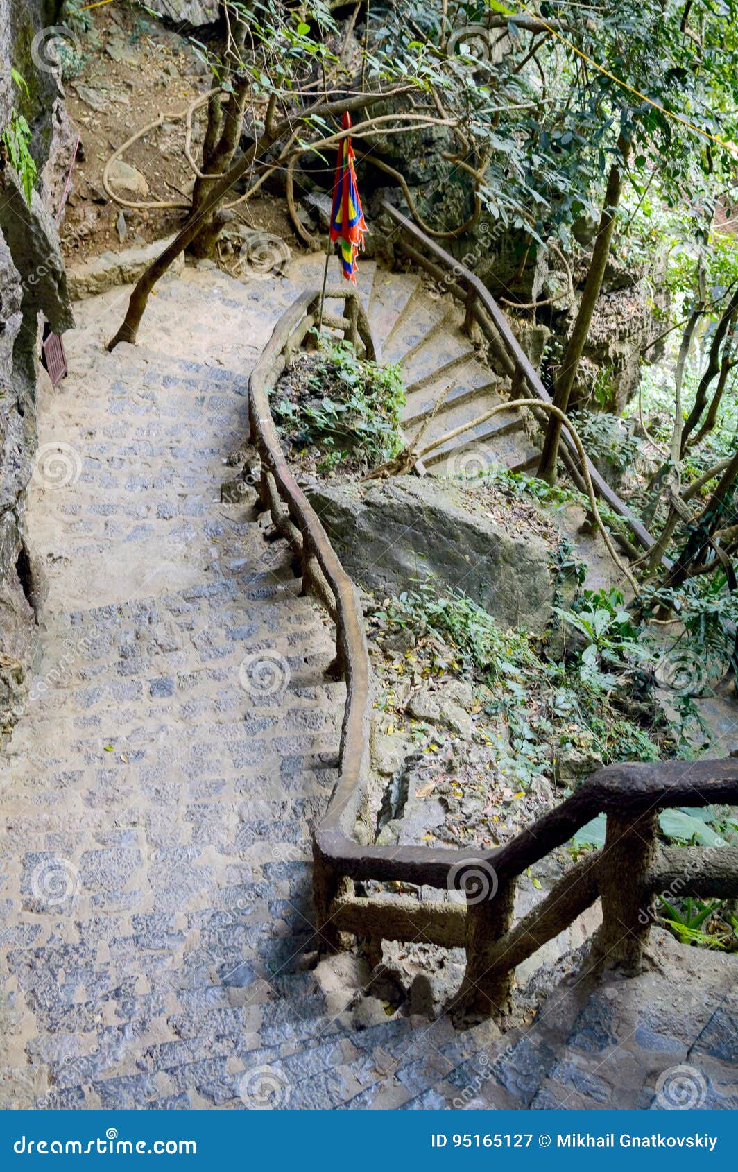 Stone steps in the jungle stock image. Image of moss - 95165127